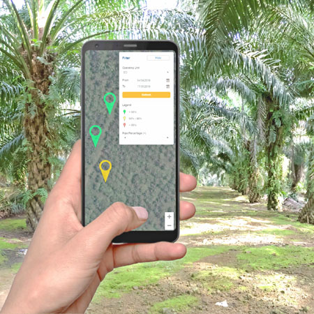 Push for Digital Oil Palm Plantations: 'The Star' Feature