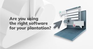 Spotlight - LintraMax | Quarto