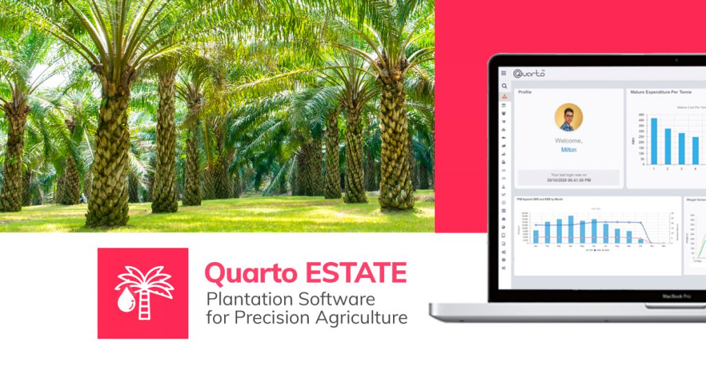 Spotlight - LintraMax | Quarto