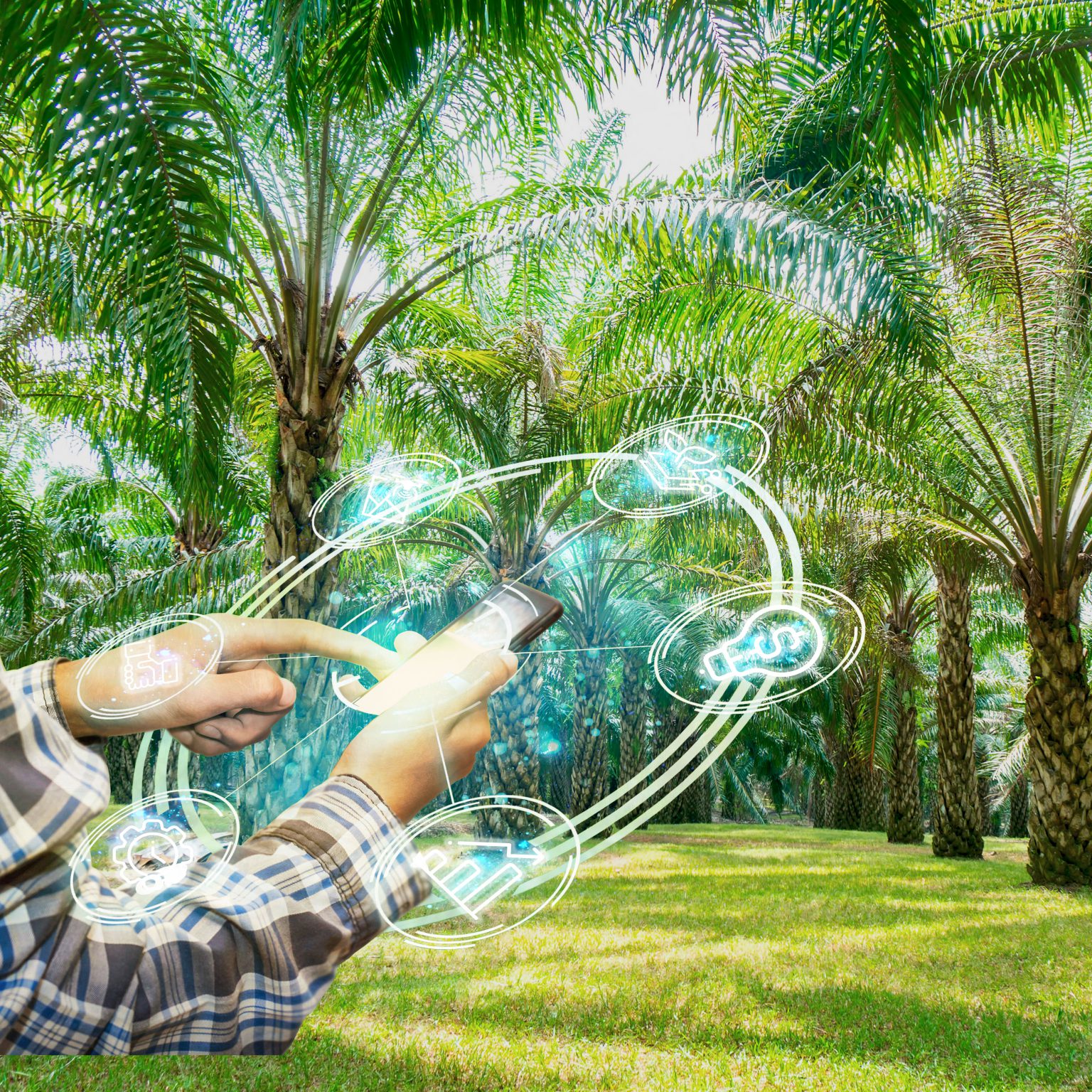 Our Solution - LintraMax | Quarto