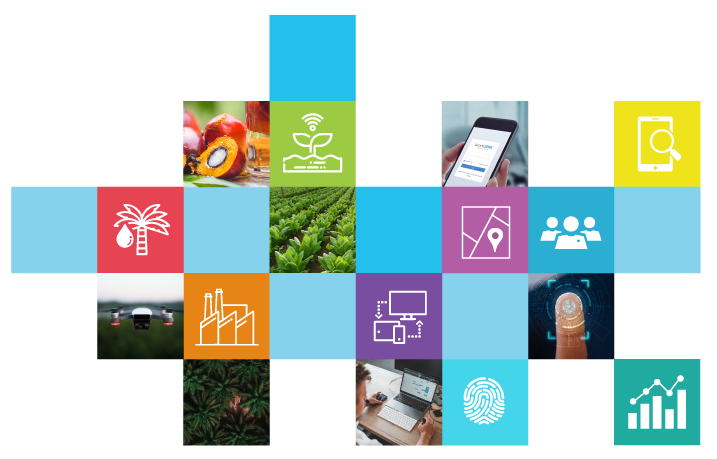 Leading oil palm plantation management ERP software system