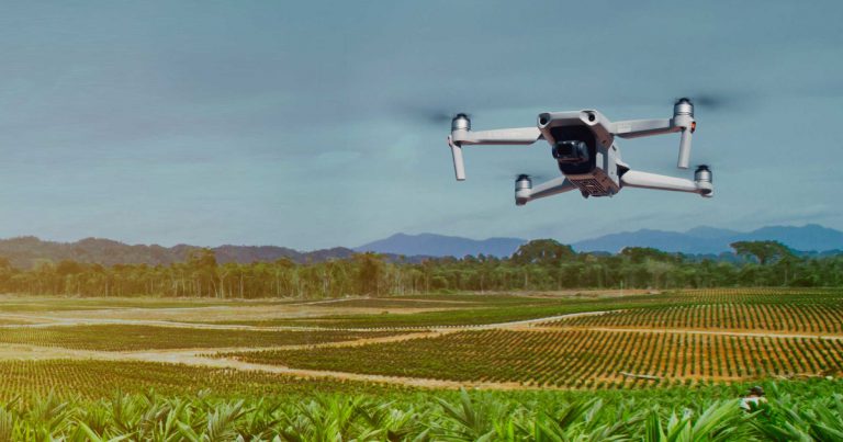 How Do Drones Work in Oil Palm Plantations - LintraMax | Quarto